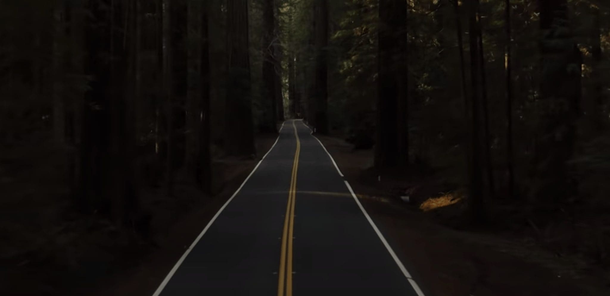 [Review] Duplass Brothers' True Crime Doc SASQUATCH is Way More than ...