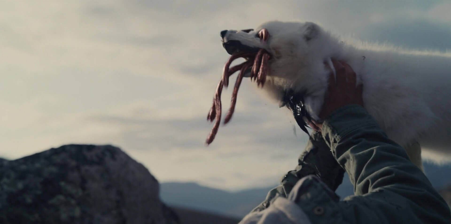 There's More COCAINE BEAR Where That Came From! Check Out These Blood ...