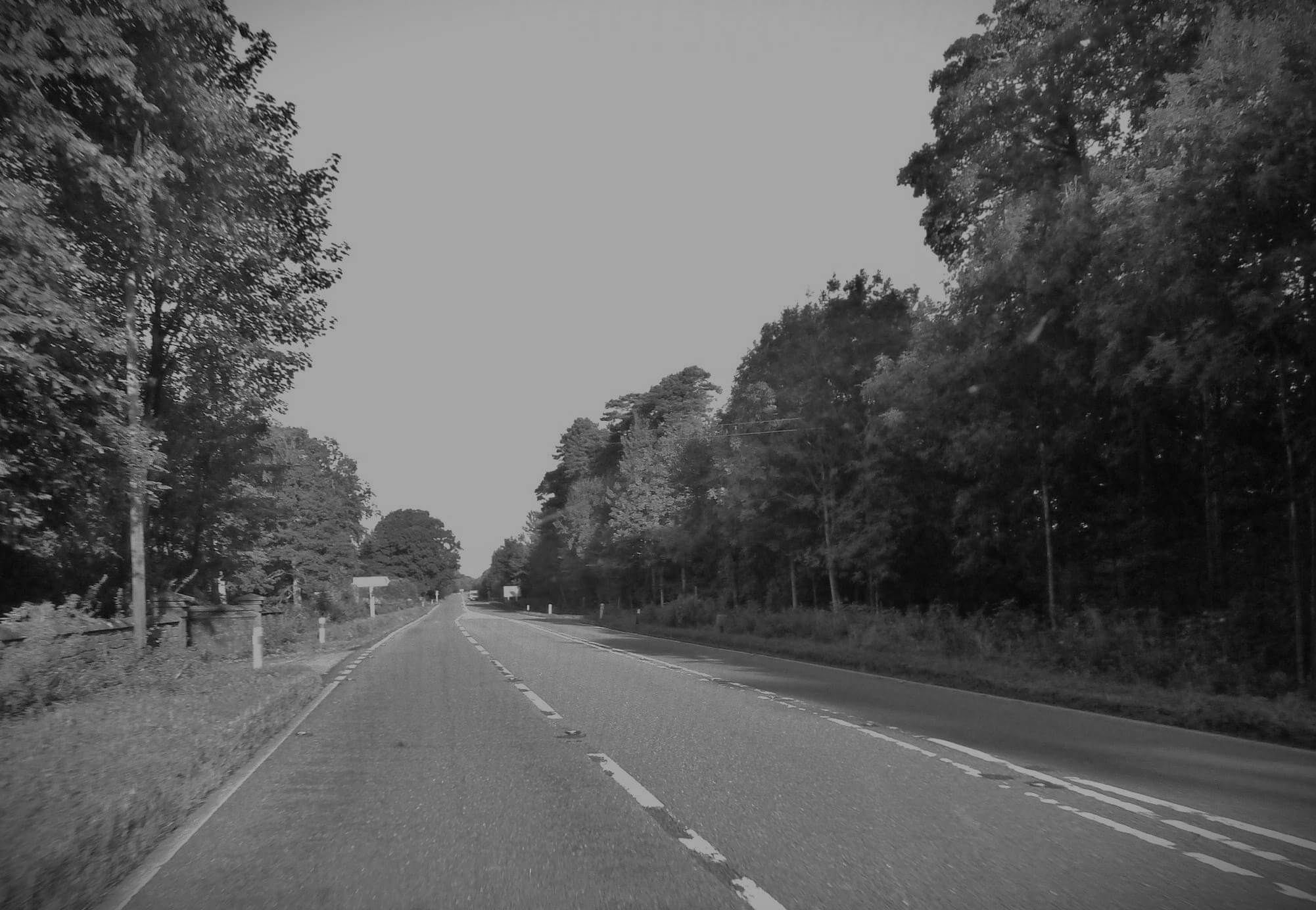 Road Trip of Terror: Exploring the World's Most Haunted Highways ...