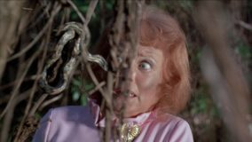 10 Frightfully Festive Birthday Horror Movies That Take The Cake ...