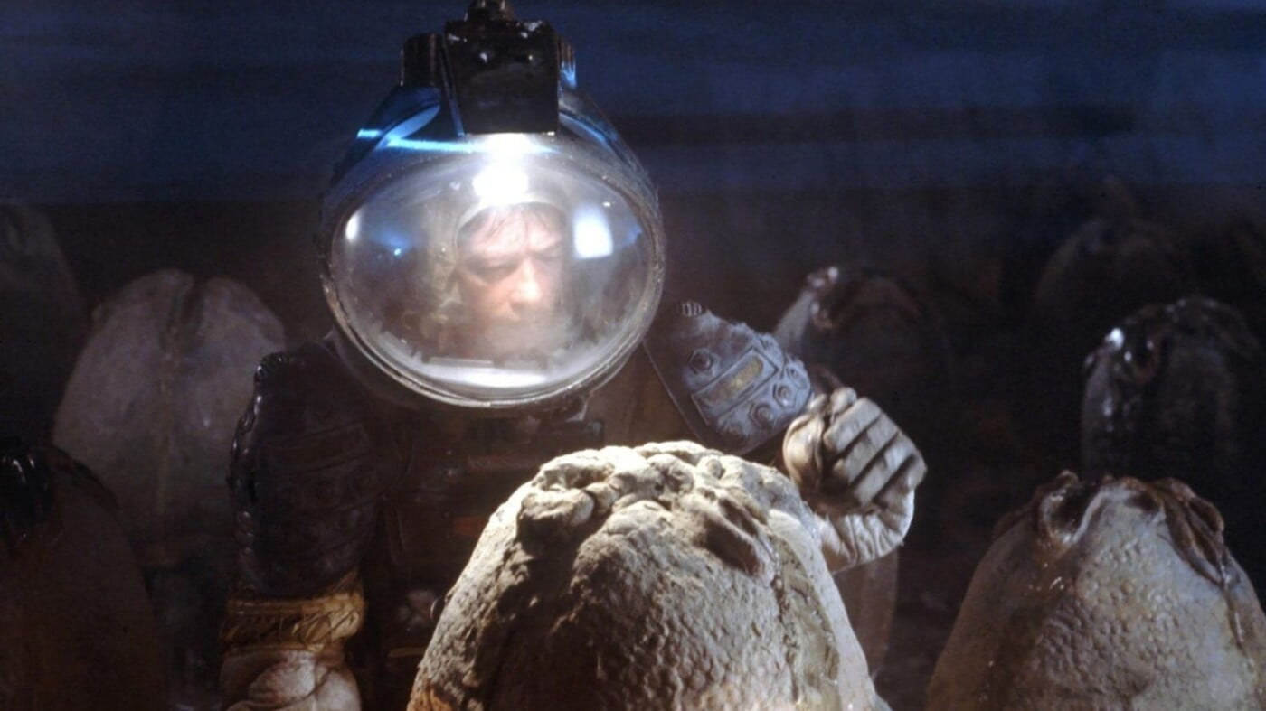 The 10 Most Egg-cellent Easter Horror Movies to Fill Your Basket ...