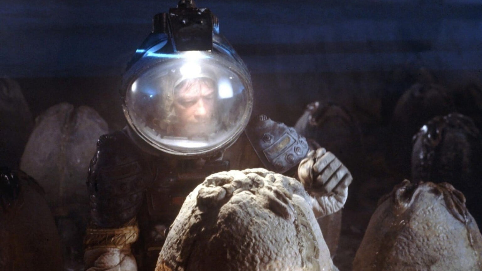 The 10 Most Egg-cellent Easter Horror Movies to Fill Your Basket ...