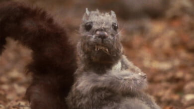 The 10 Most Egg-cellent Easter Horror Movies to Fill Your Basket ...