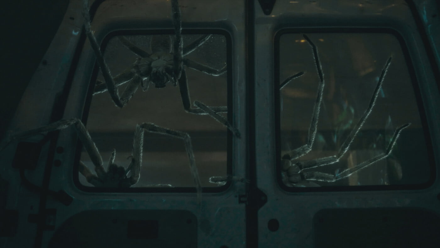 [Panic Fest 2024 Review] 9/10 Spiders Give French Monster Horror ...