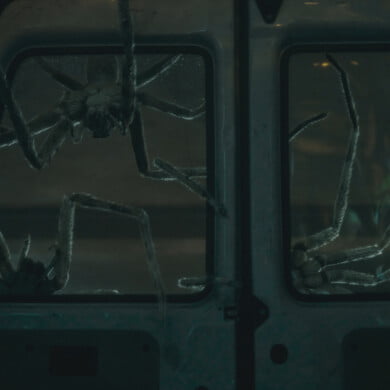 [Panic Fest 2024 Review] 9/10 Spiders Give French Monster Horror ...