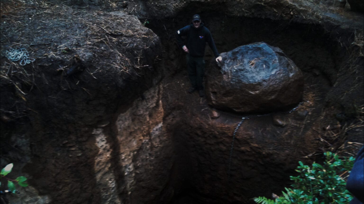 THE HOLE STORY Review: Dig All You Like But You'll Never Reach The Bottom of This Bizarre ...