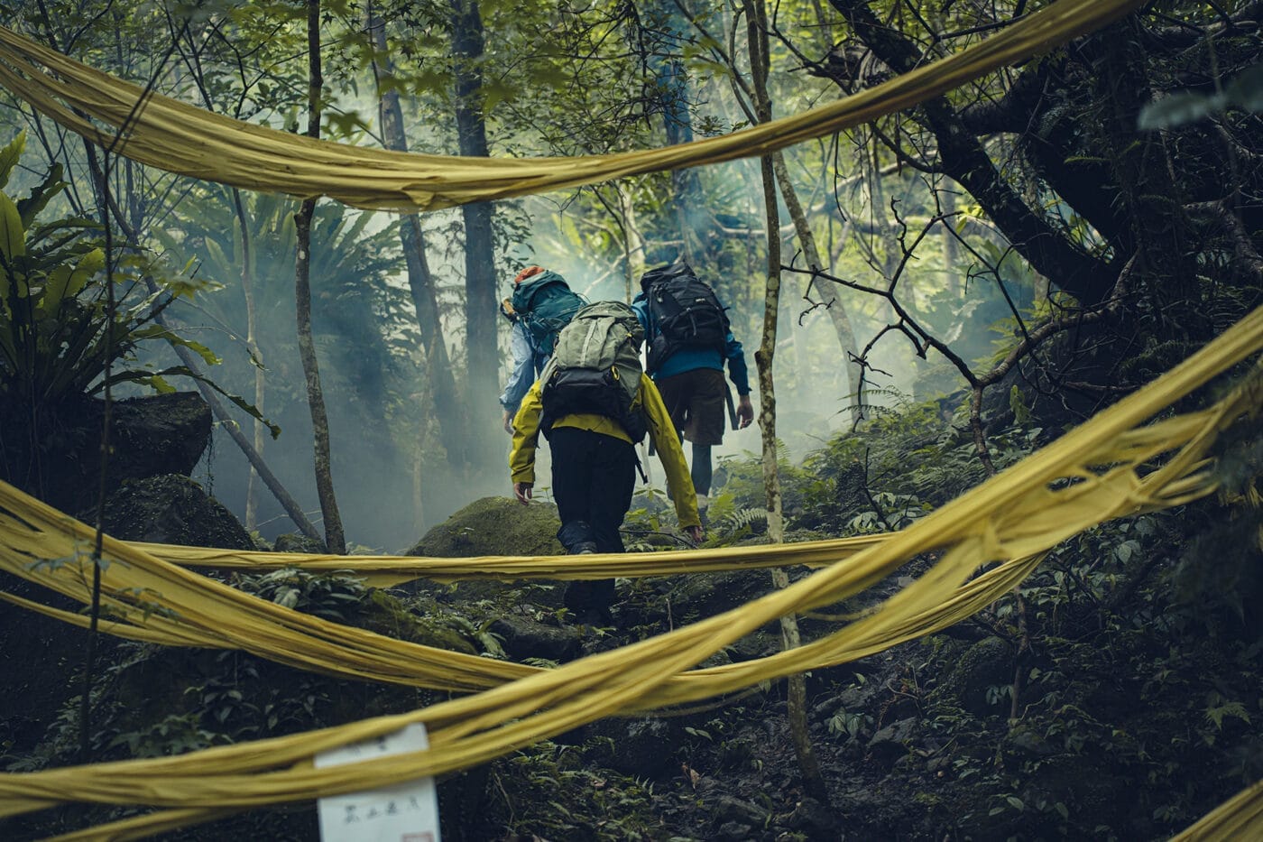 10 Beach Horror Movies That Will Leave You Too Scared to Step on the ...